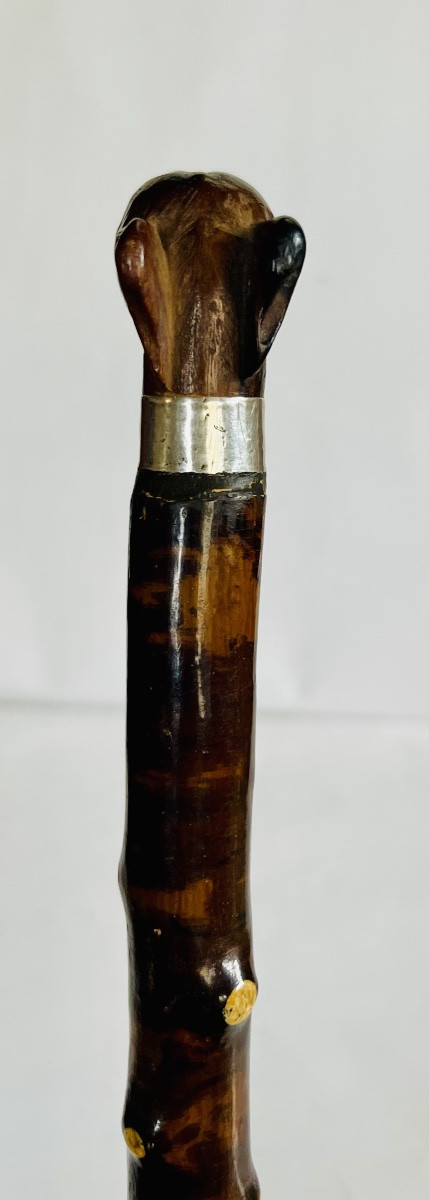 Proantic: Walking Stick